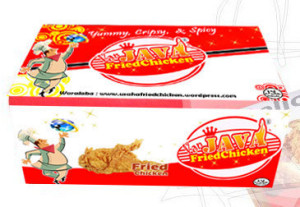 van java dus kotak fried chicken ayam crispy – Van Java Fried Chicken
